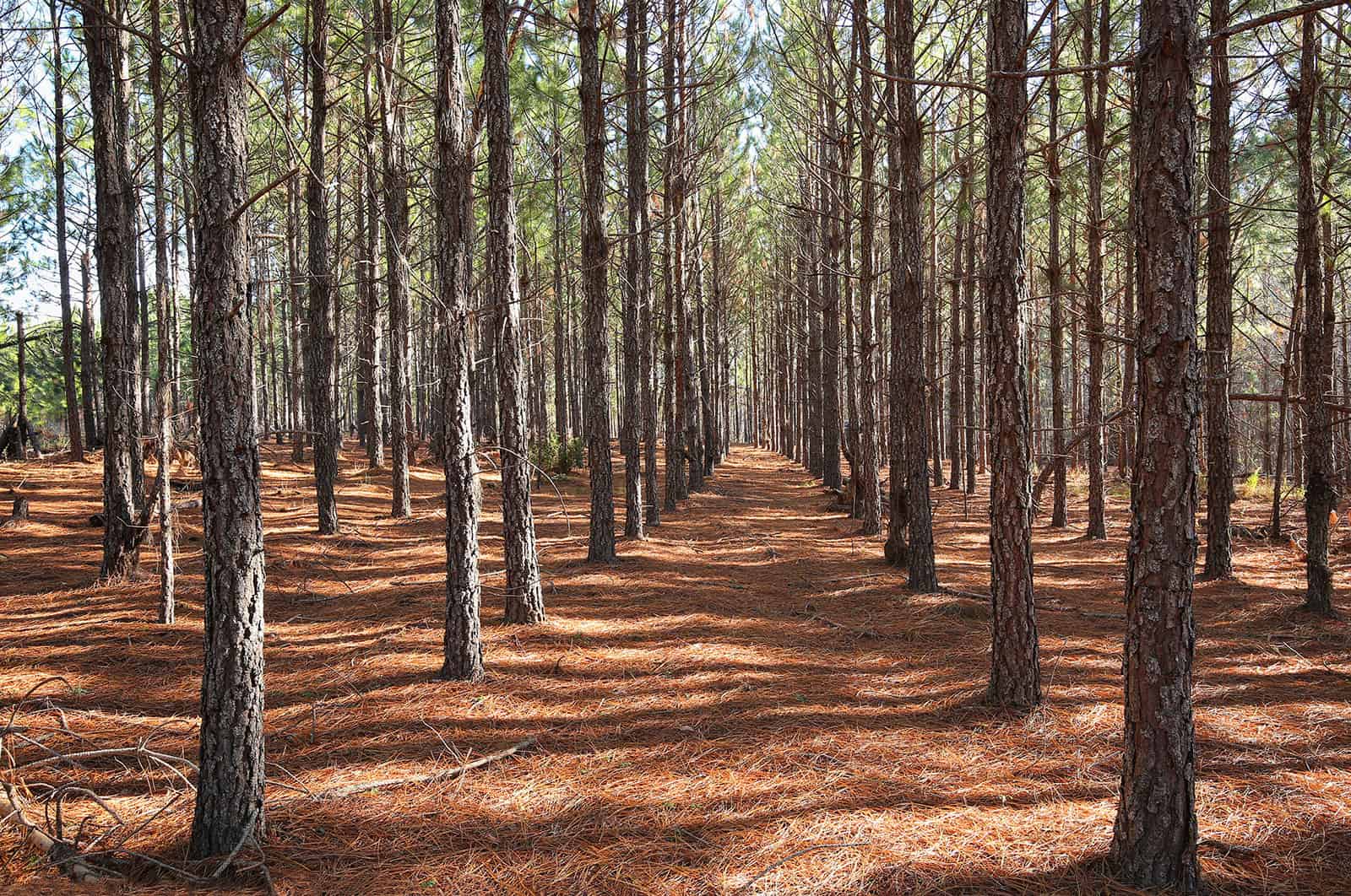 Our Work | CCS Environmental Services